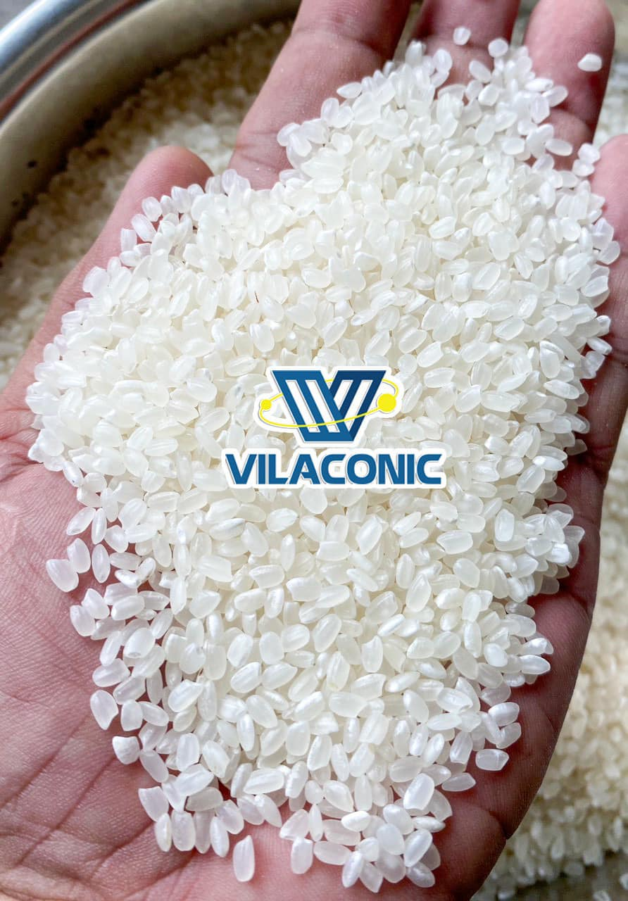 VILACONIC REACHES FAR IN THE INTERNATIONAL MARKET: 200 TONS OF JAPONICA ...